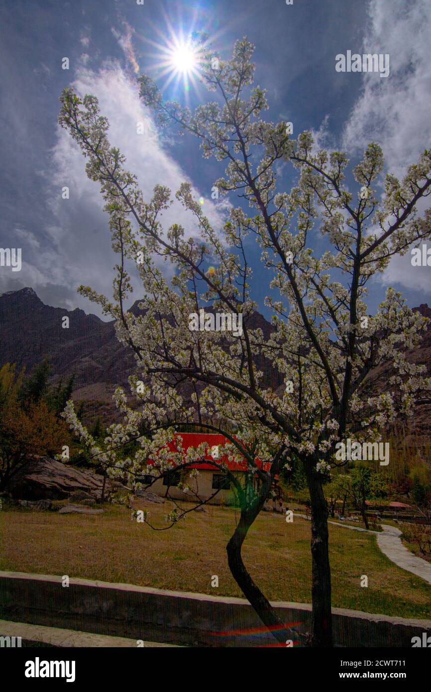 landscape photography in spring season in northern areas of Pakistan ...