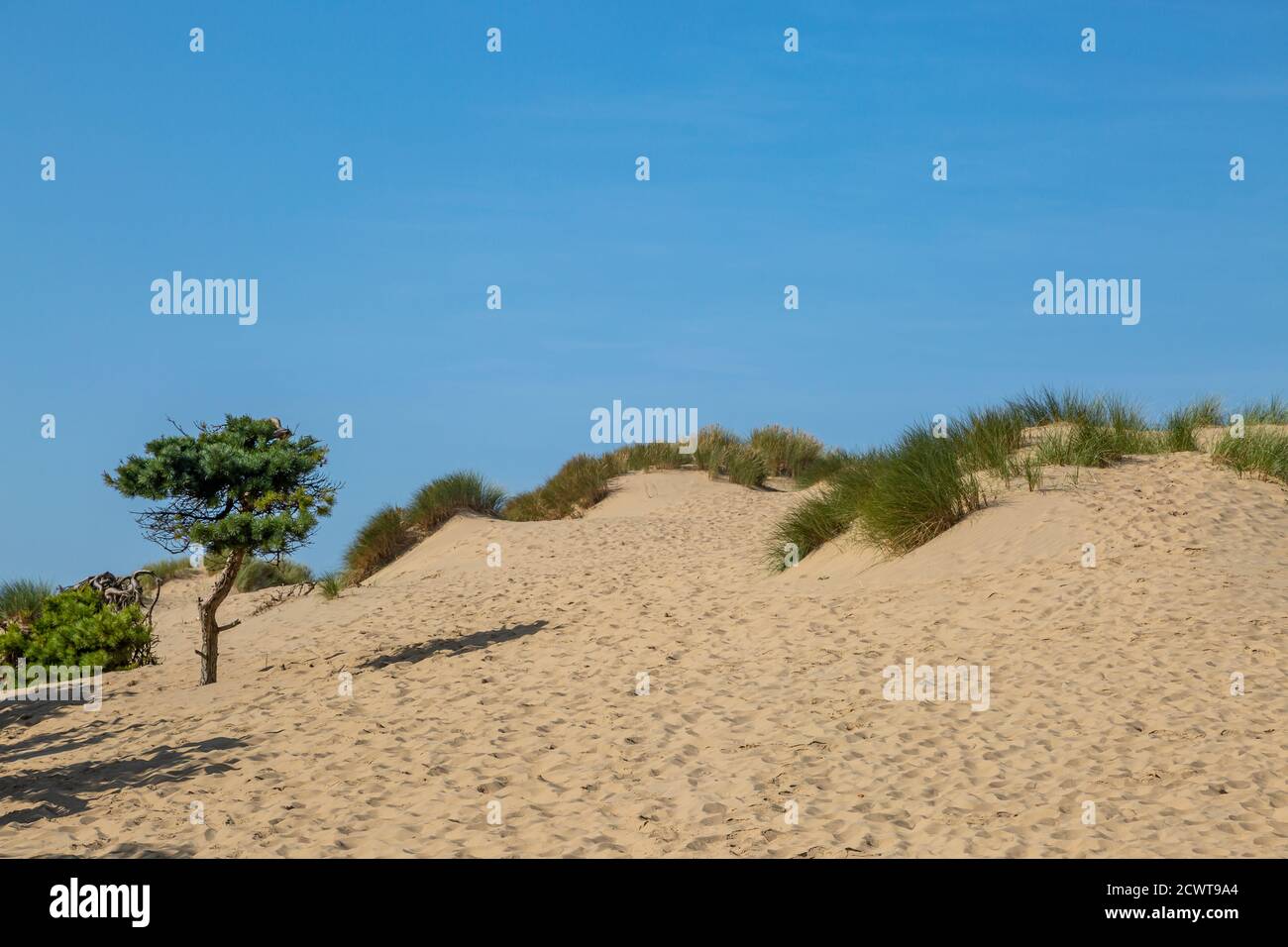 Sand dunes beneath a blue sky, at Formby on the Merseyside coast Stock ...