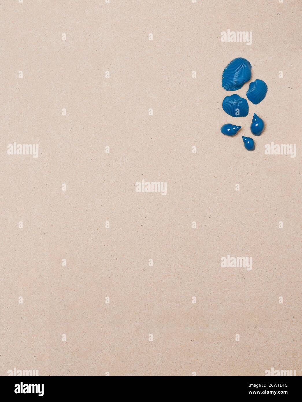 sea shells set, blue color, on beach sand background, top view Stock ...