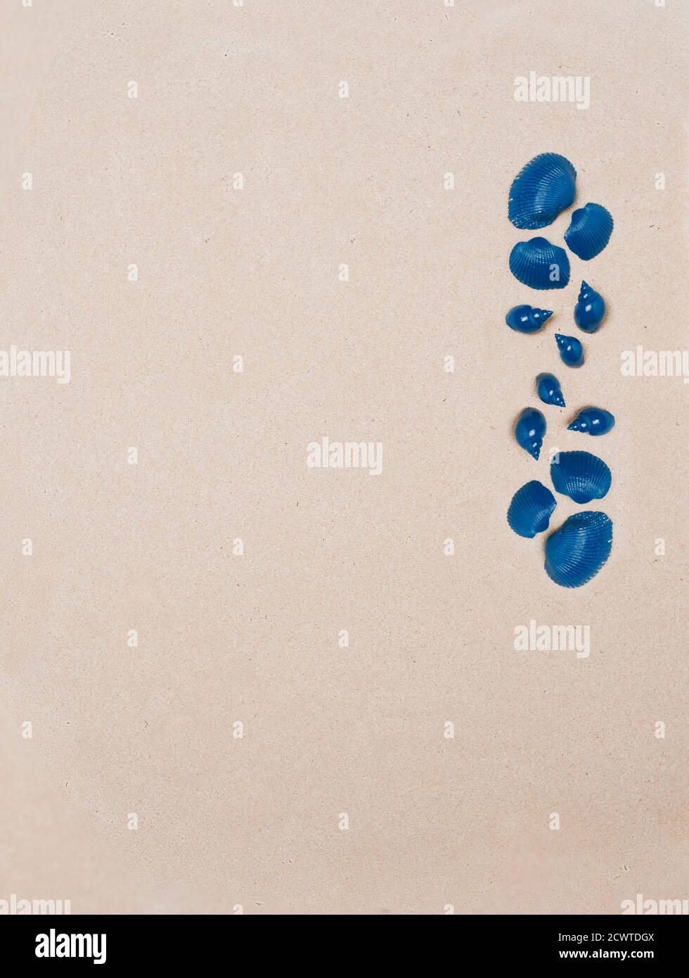 sea shells set, blue color, on beach sand background, top view Stock ...