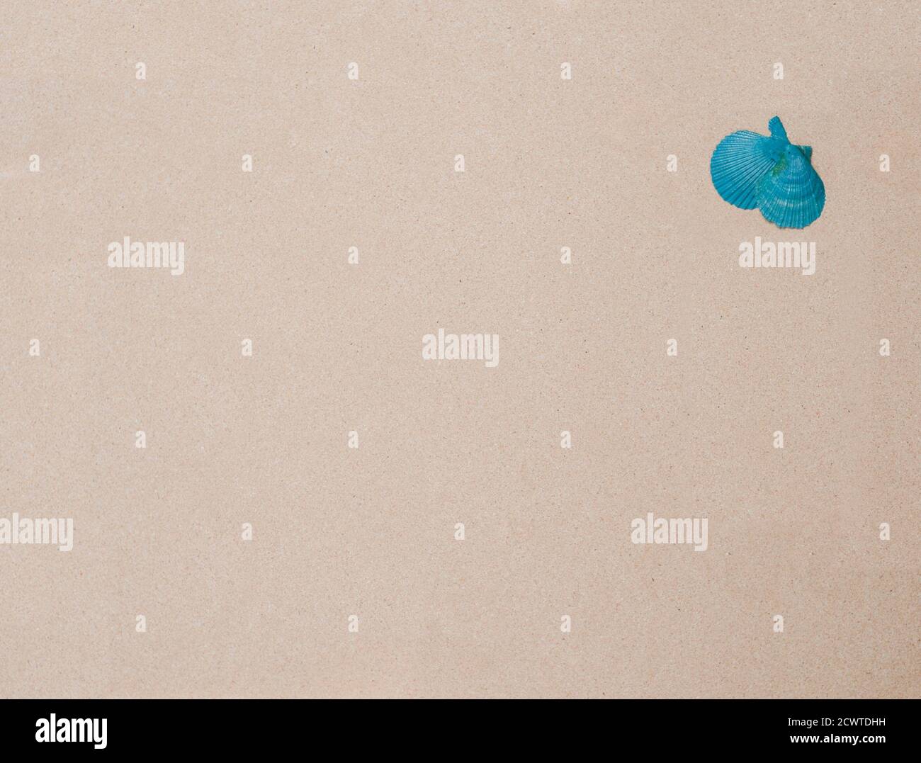 sea shells set, light blue color, on sandy beach background, top view ...