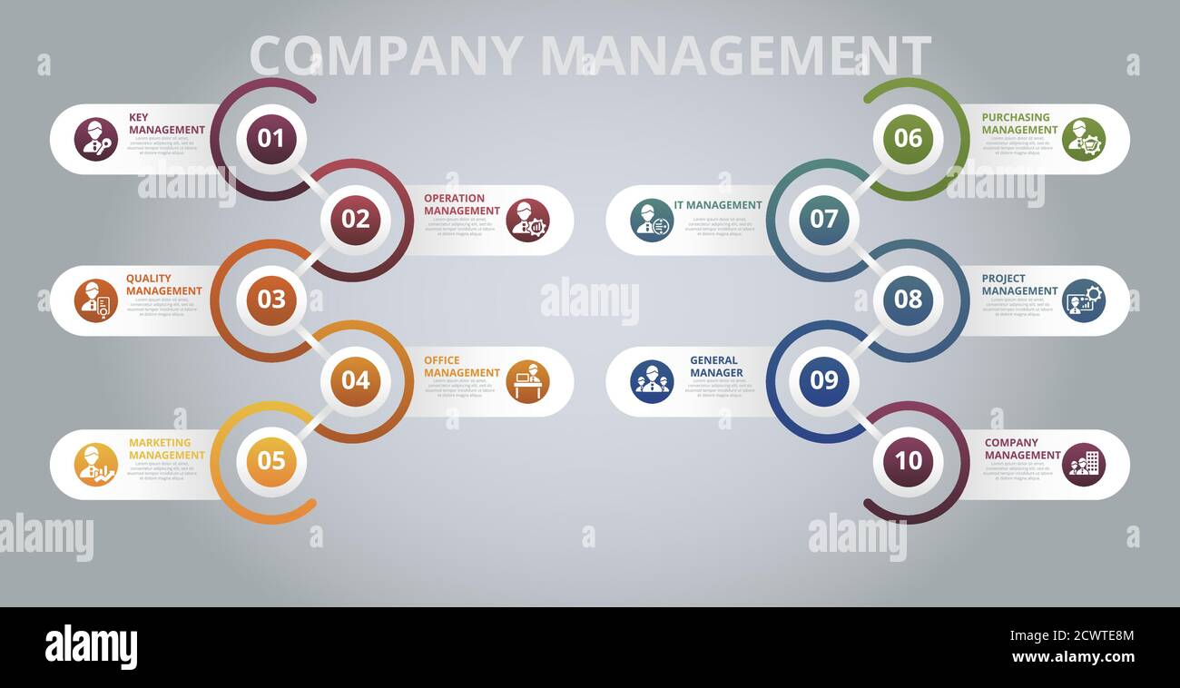 Infographic Company Management template. Icons in different colors ...