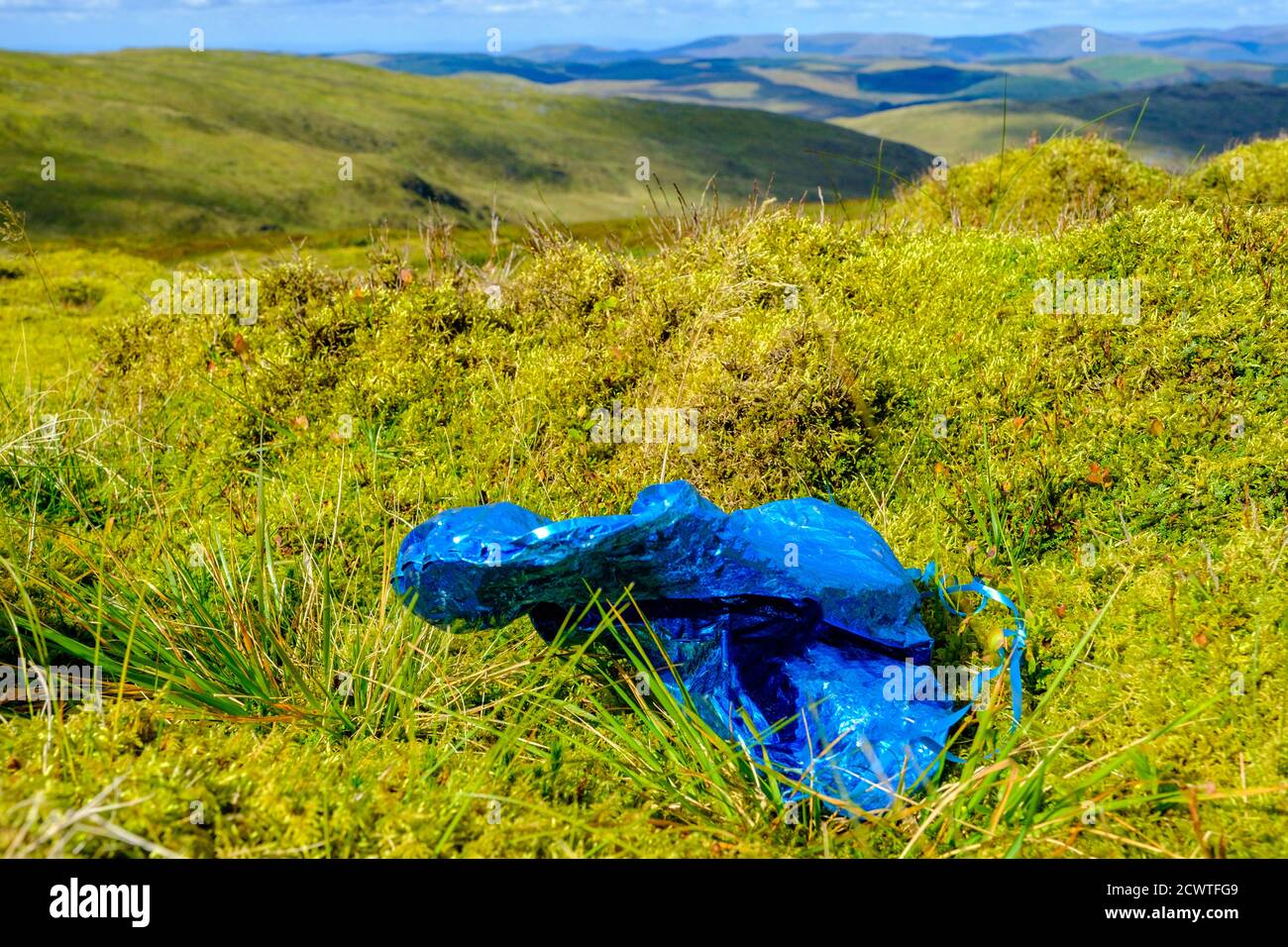 A deflated party balloon on the ground in the Cambrian mountains of mid ...