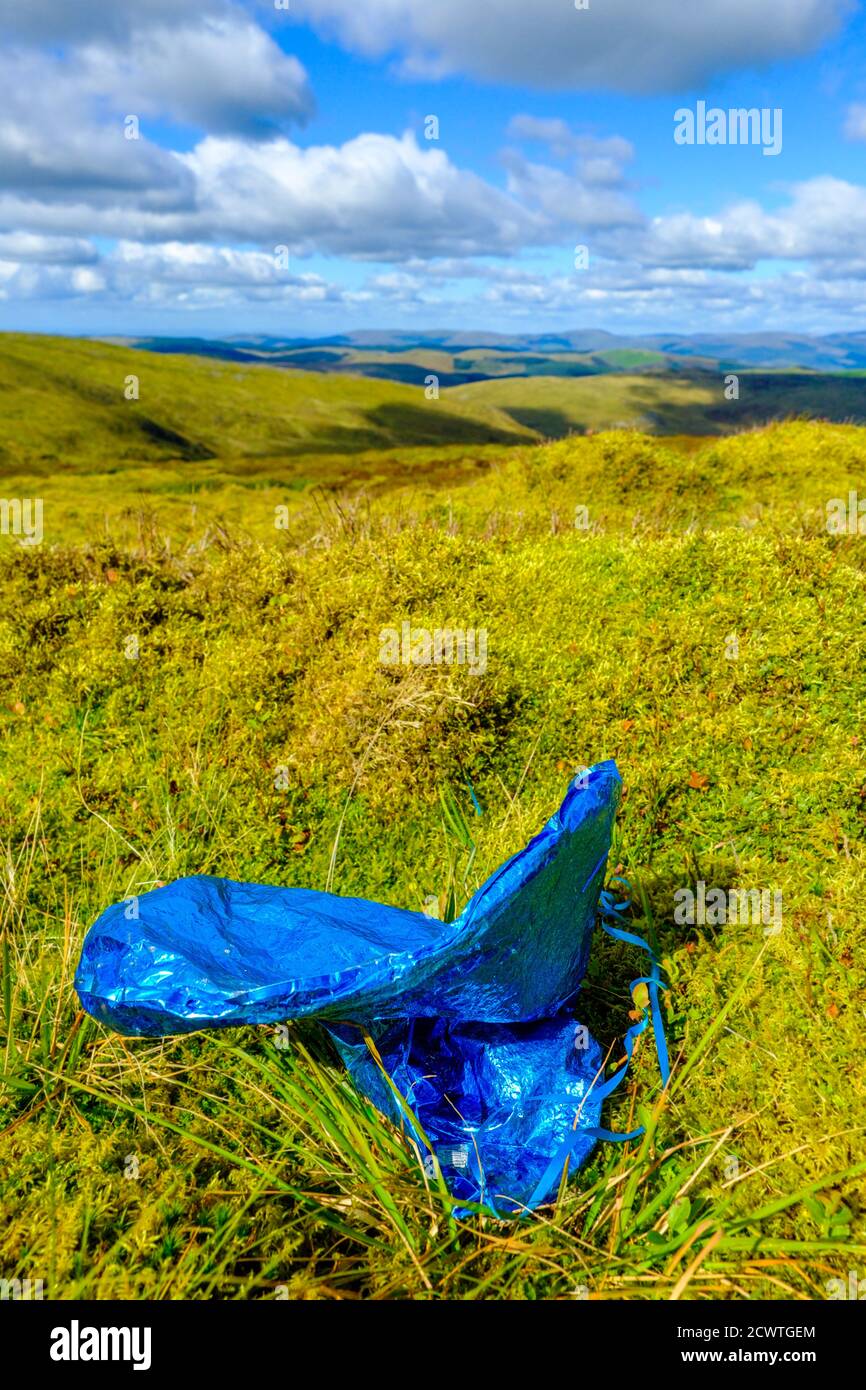 A deflated party balloon on the ground in the Cambrian mountains of mid ...