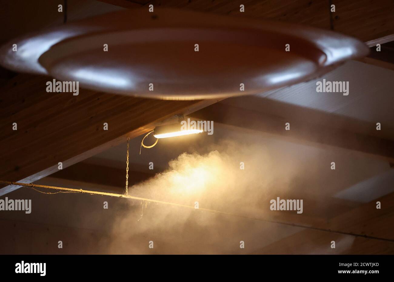 30 September 2020, Saxony, Wermsdorf: With a water fogging system, the ...