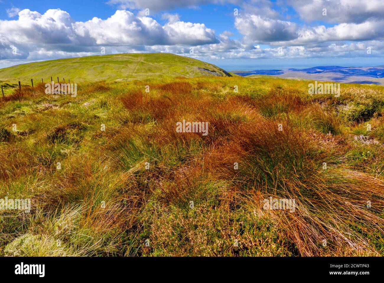 Plynlimon, the highest hill in the Cambrian Mountains, Mid Wales Stock ...