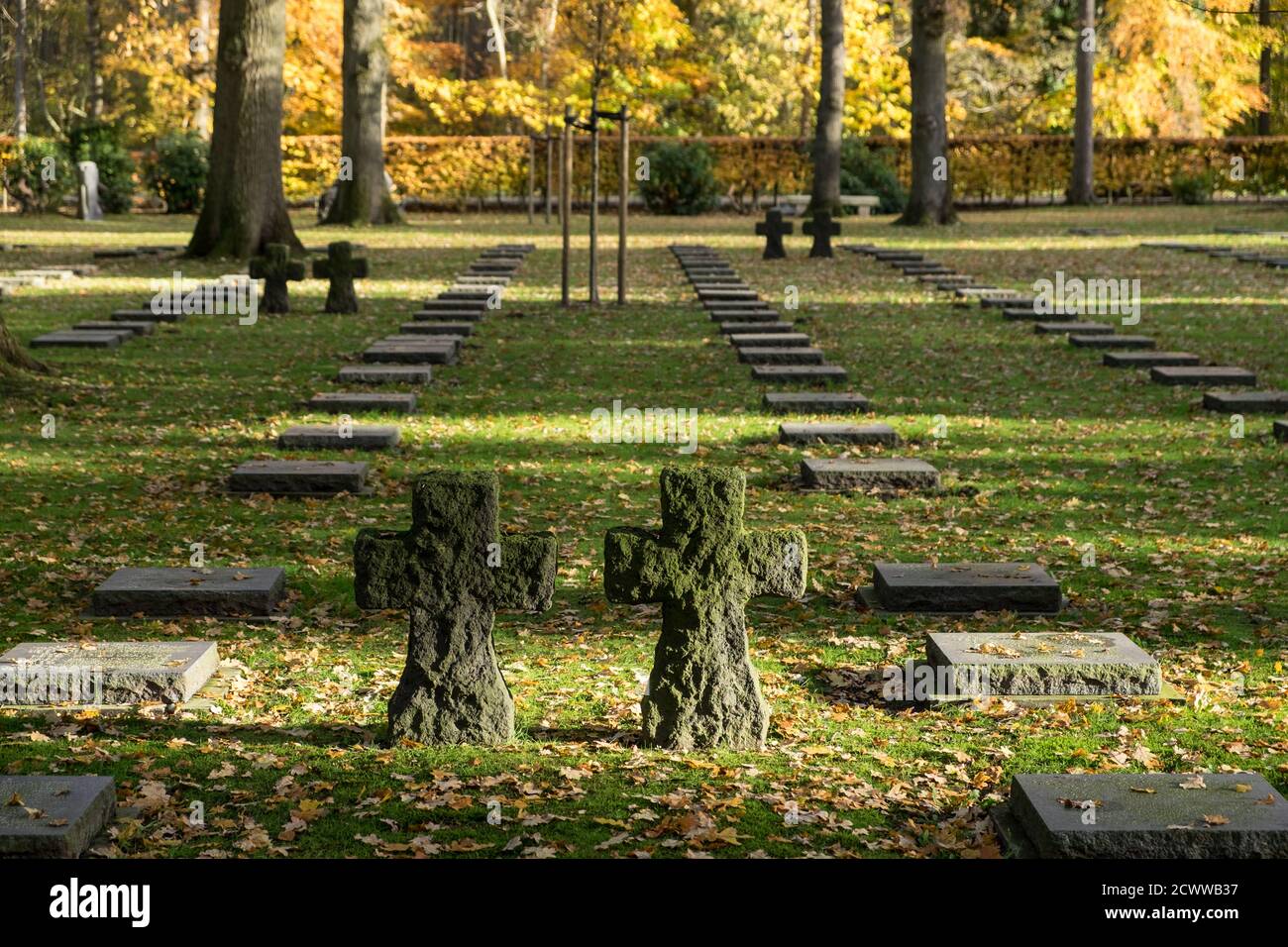 Graveyard marked with rows of headstones surrounded by trees Stock ...