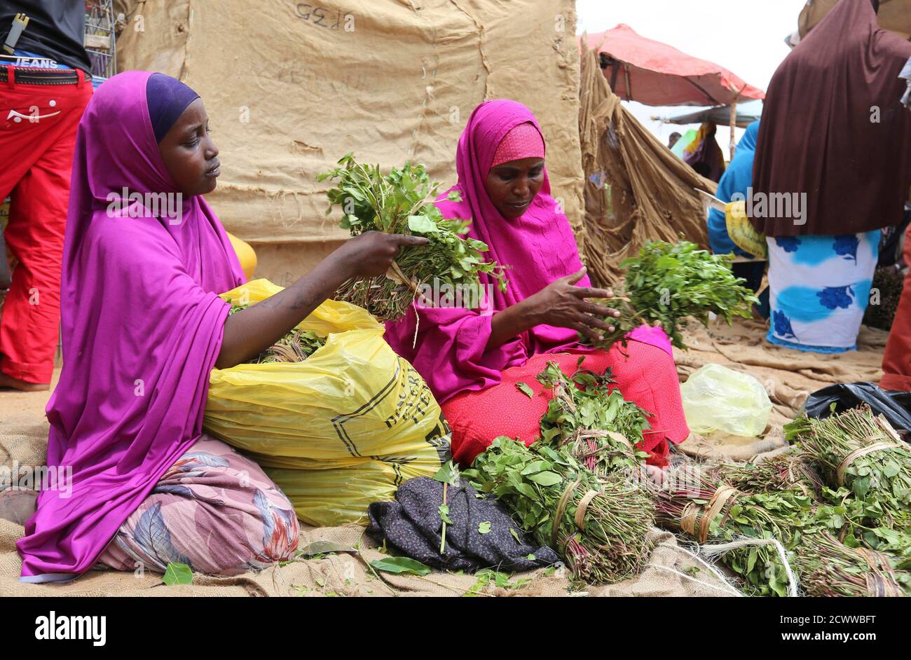 Khat kenya hi-res stock photography and images - Alamy