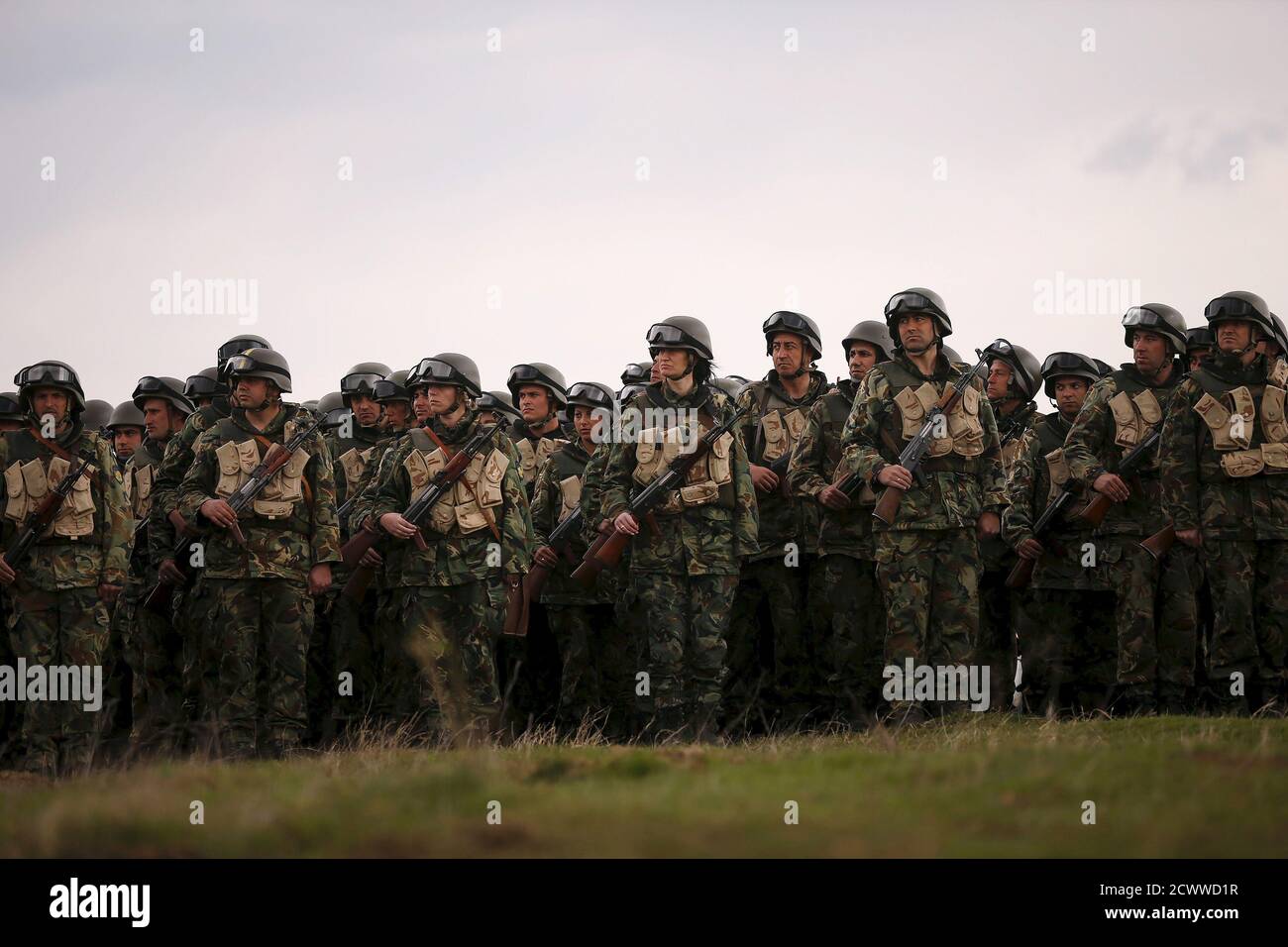 Platinum lion 15 hi-res stock photography and images - Alamy