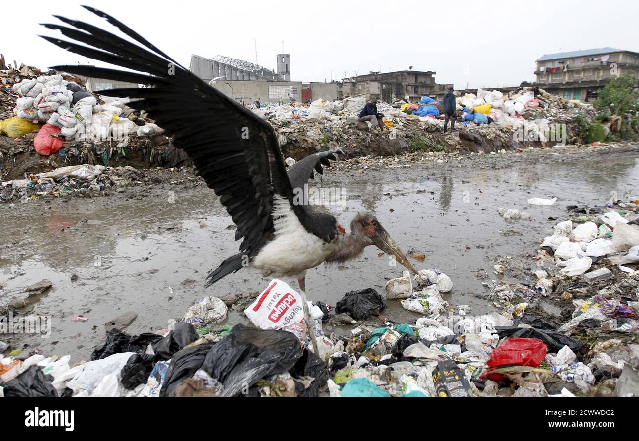 Human garbage in nature hi-res stock photography and images - Alamy