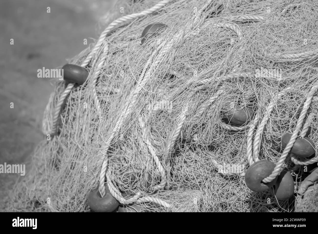Ring netting Black and White Stock Photos & Images - Alamy