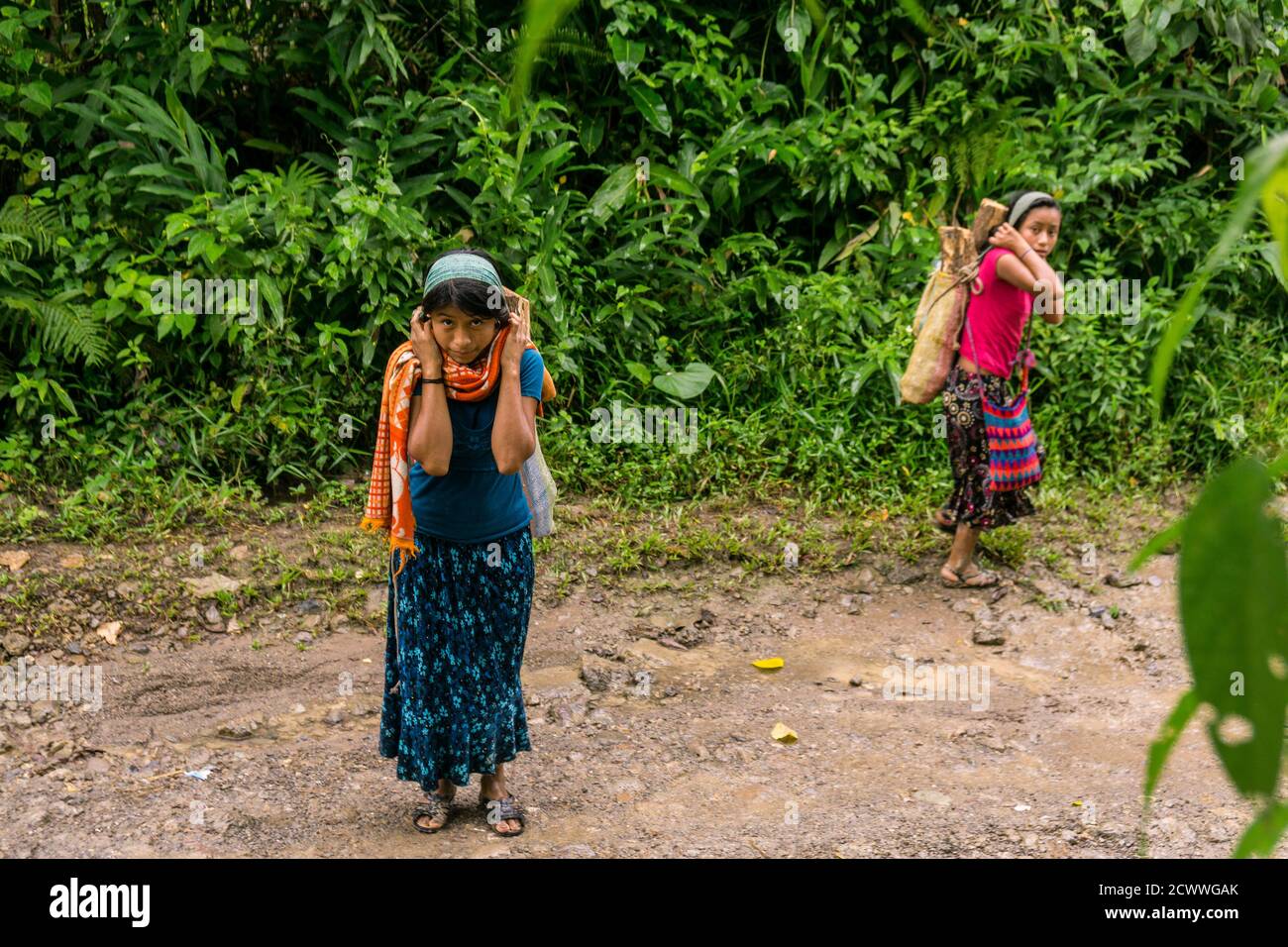 Mayo indians hi-res stock photography and images - Alamy