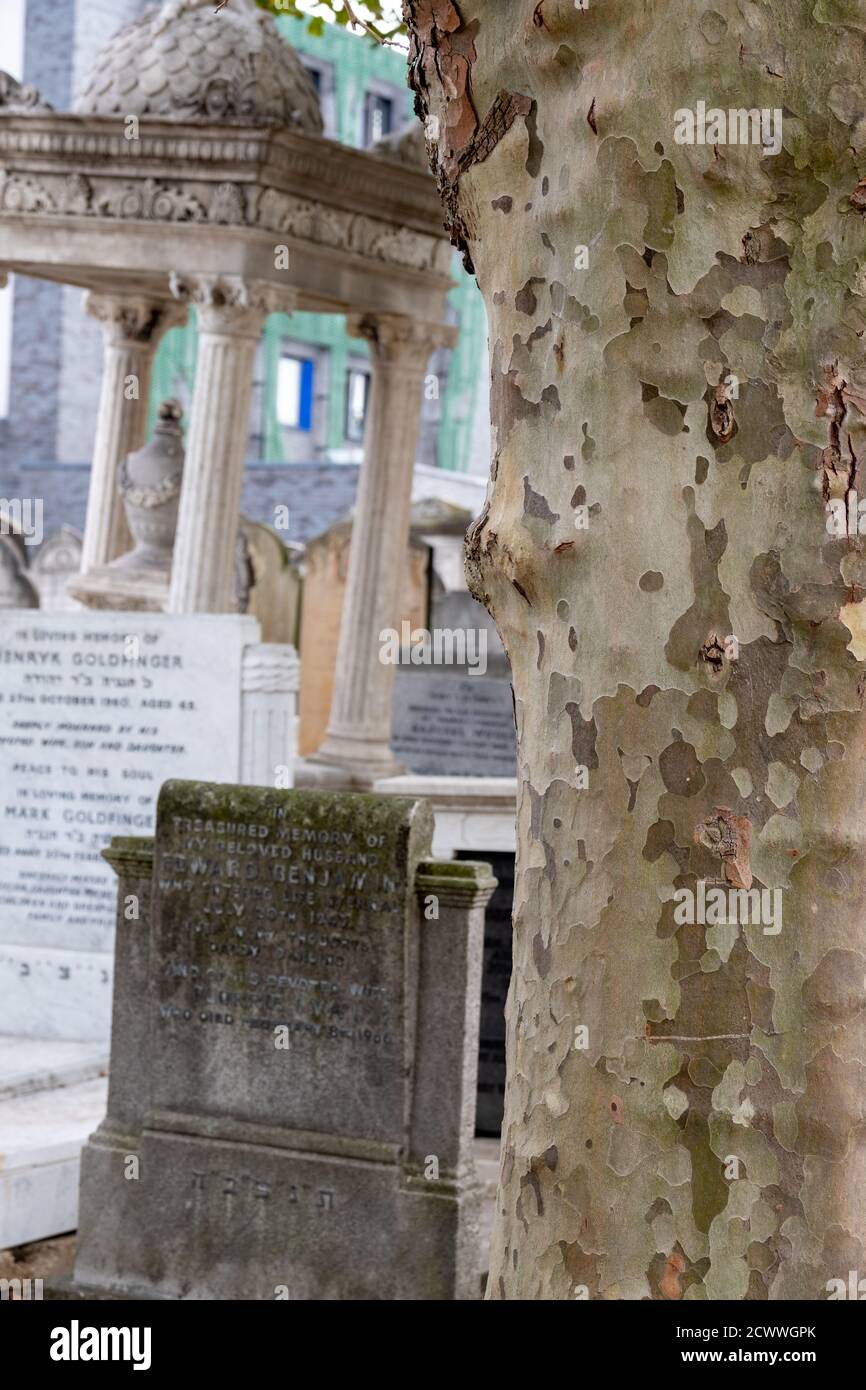 Gravestones with Hebrew and English inscriptions at historic Victorian ...