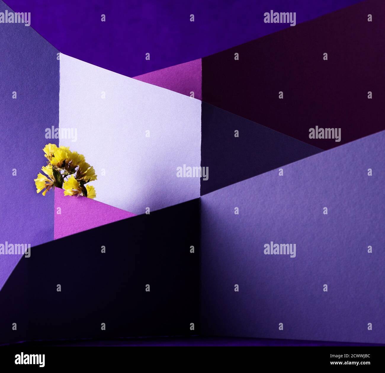 Asymmetric, abstract geometric background with a plant Stock Photo - Alamy