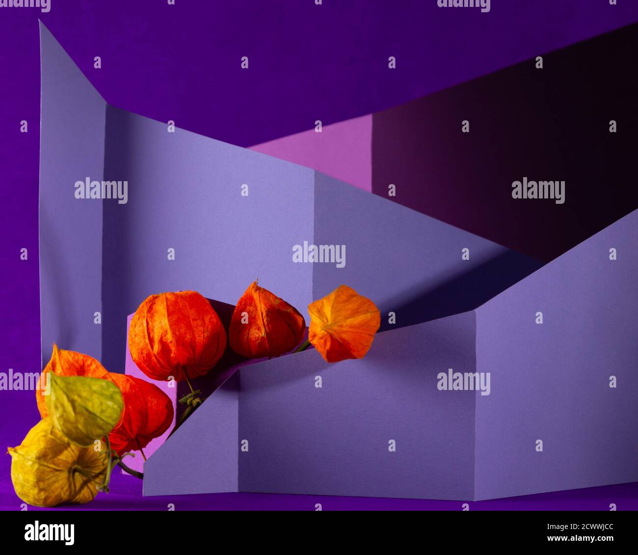 Asymmetric, abstract geometric background with a plant Stock Photo - Alamy