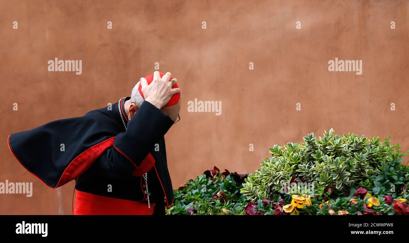 Cardinal john tong hon hi-res stock photography and images - Alamy