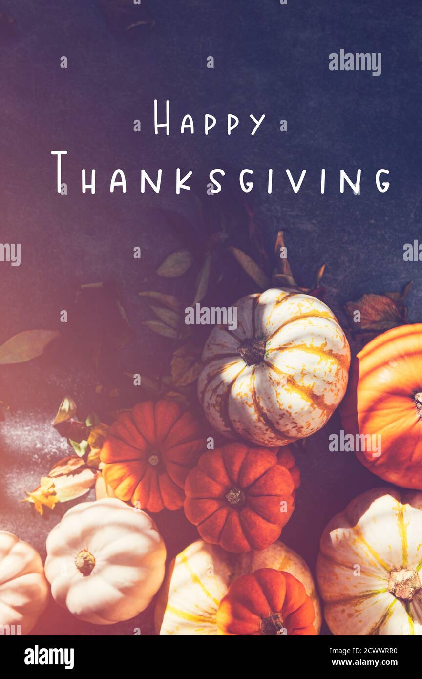 Happy thanksgiving scene card hi-res stock photography and images - Alamy