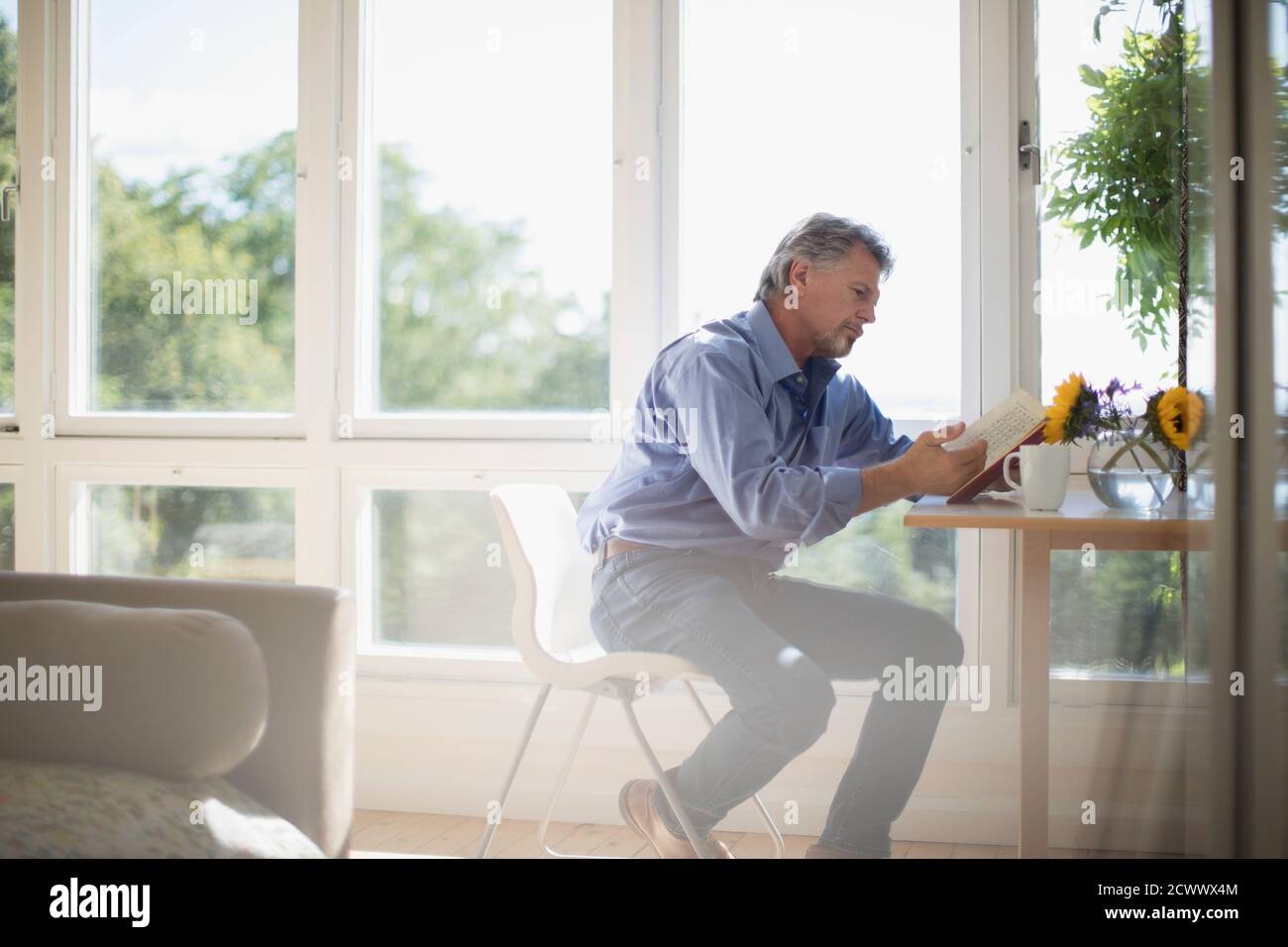 Senior man reading book at dining table by sunny window Stock Photo - Alamy
