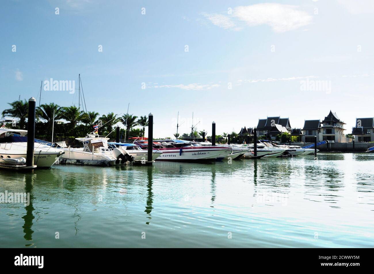 Beautiful marina with green background and yachts Stock Photo - Alamy