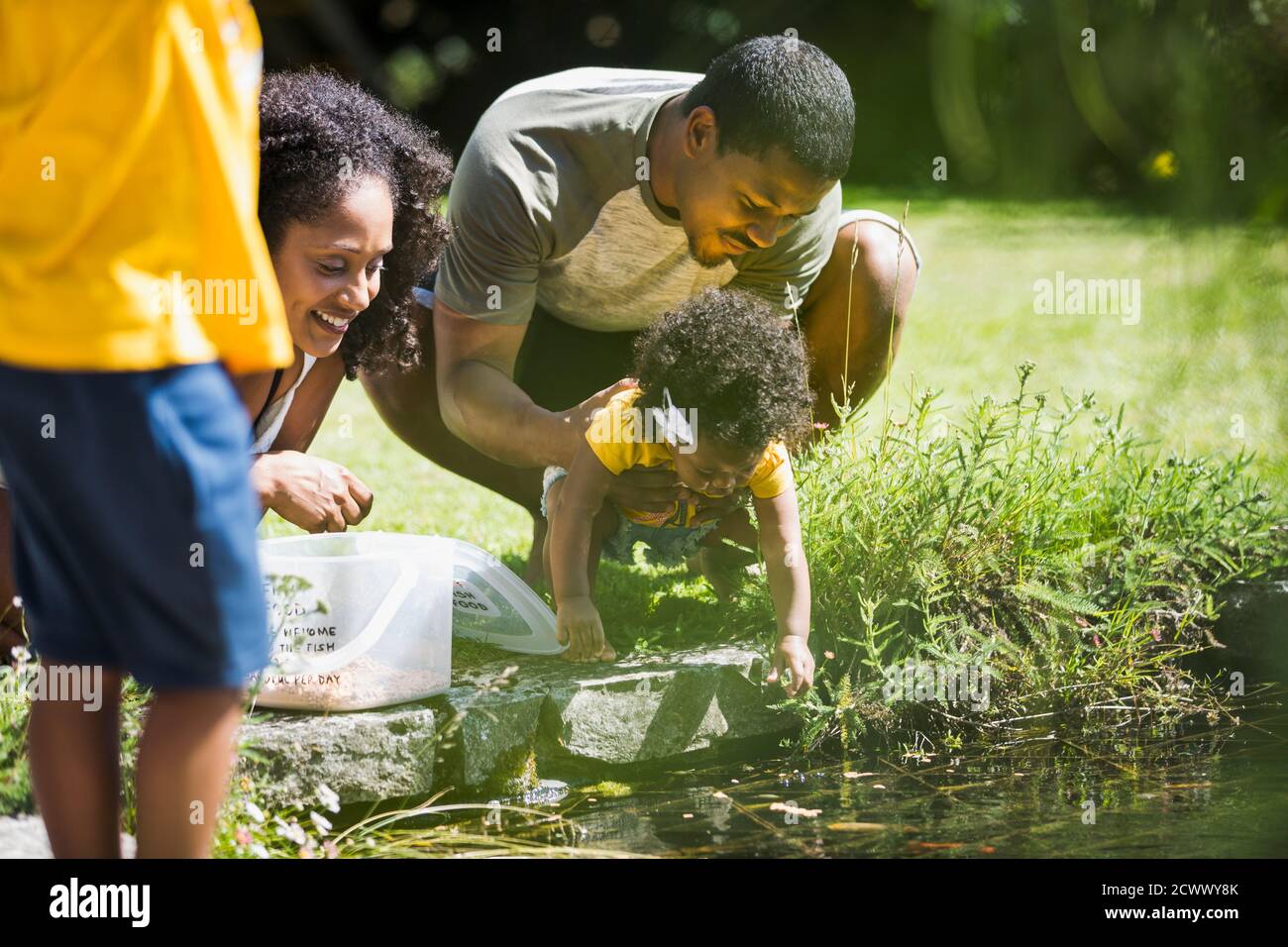 Summer pond wonder hi-res stock photography and images - Alamy