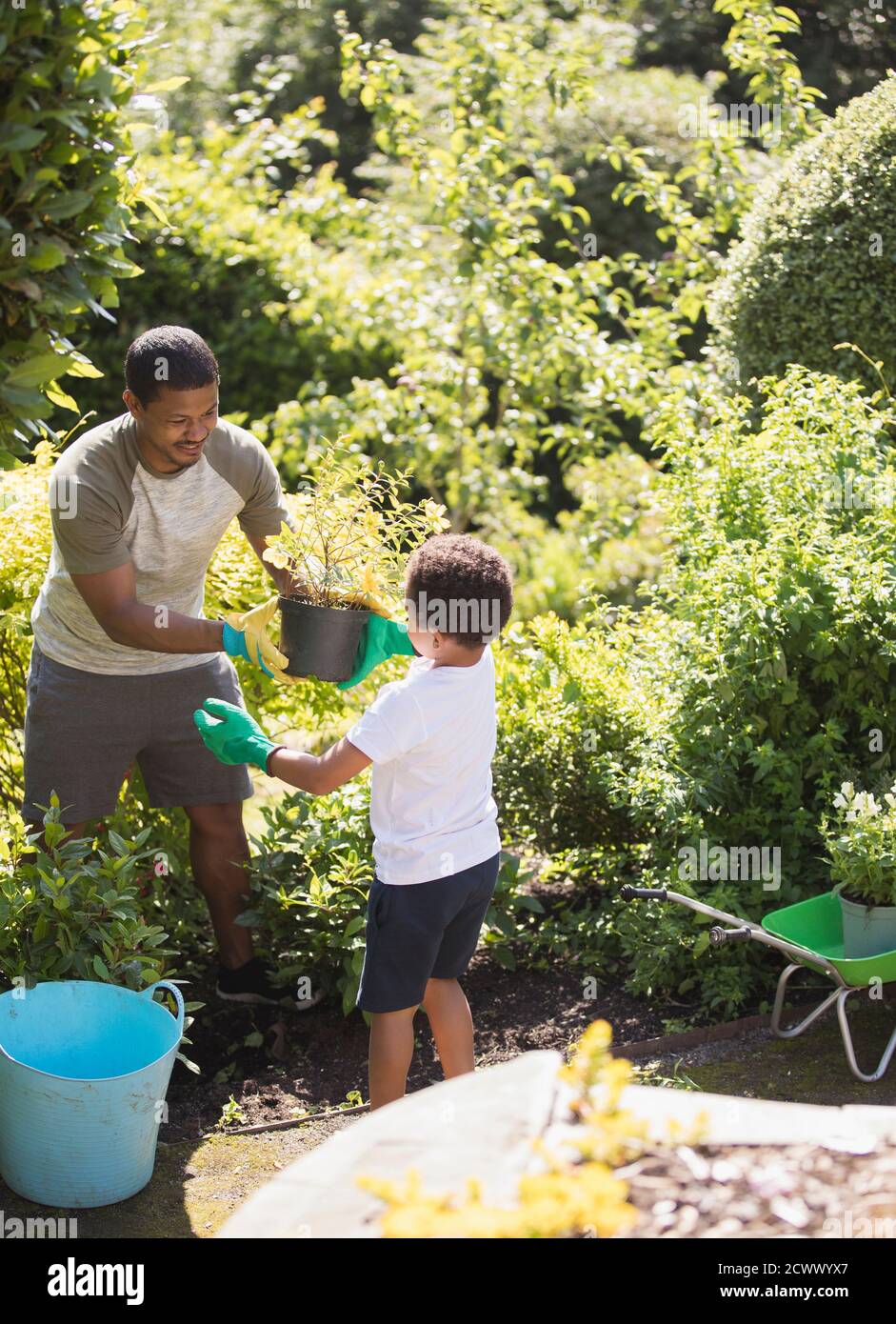 Father teach son plant hi-res stock photography and images - Alamy