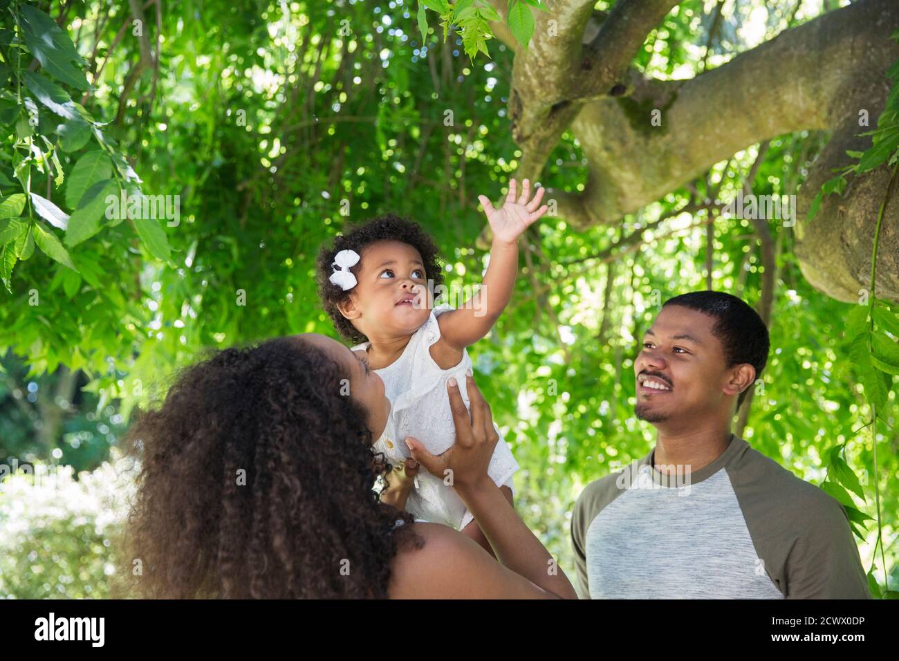 Family tree parents daughter hi-res stock photography and images - Alamy