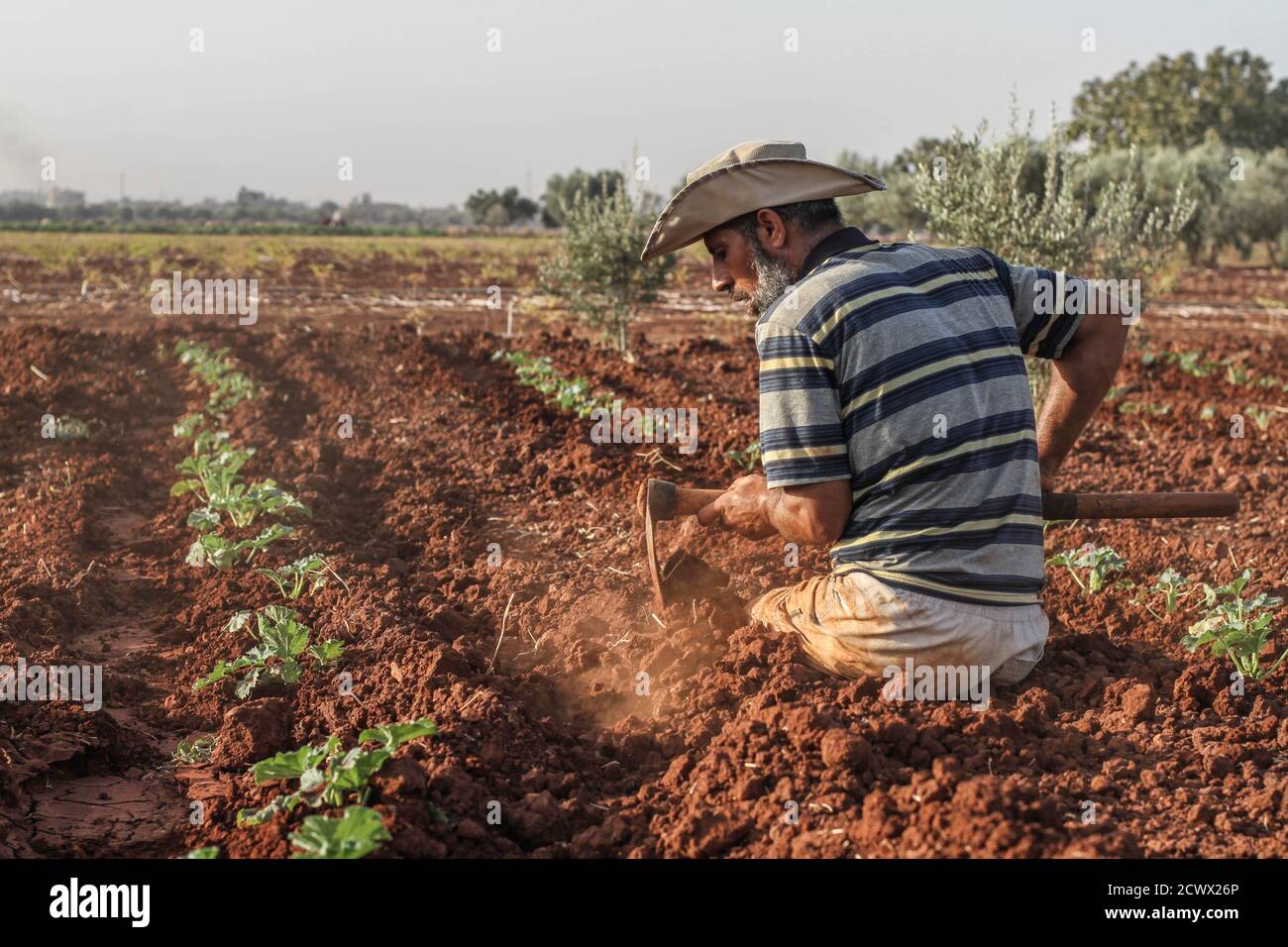 September 29, 2020: The photos show a Syrian farmer from the ...