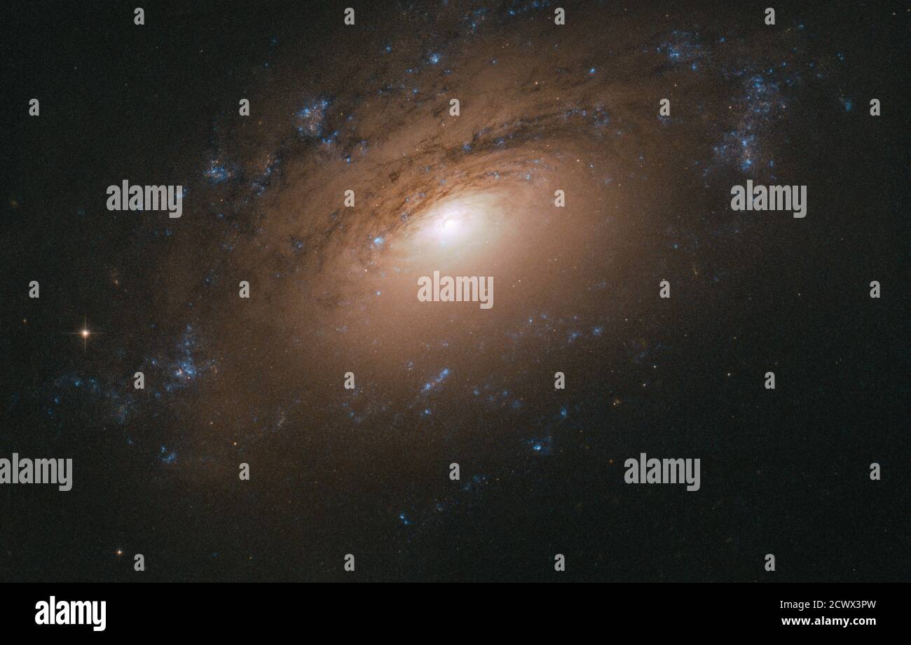 NASA/ESA's Hubble Space Telescope captured an image of the spiral ...