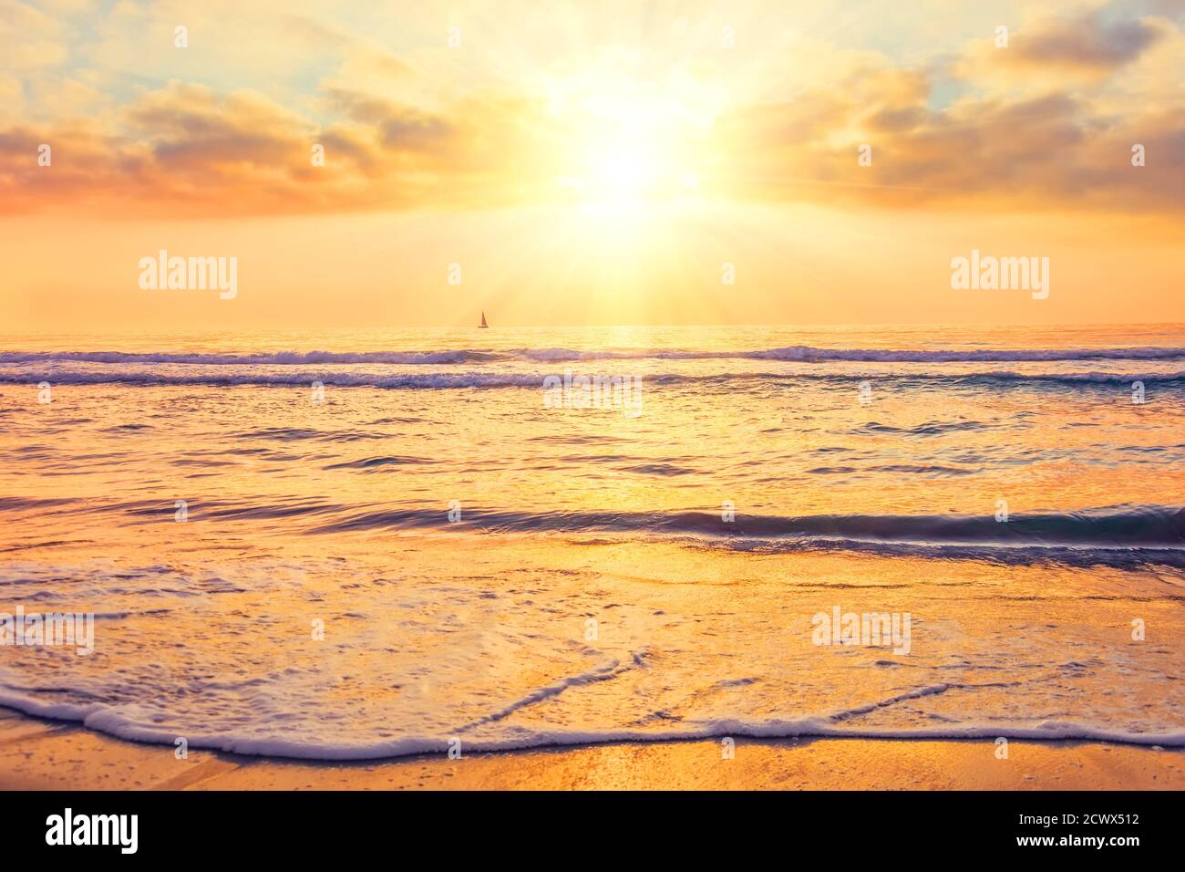 The golden light rays of the sun illuminates the morning beach on the ...