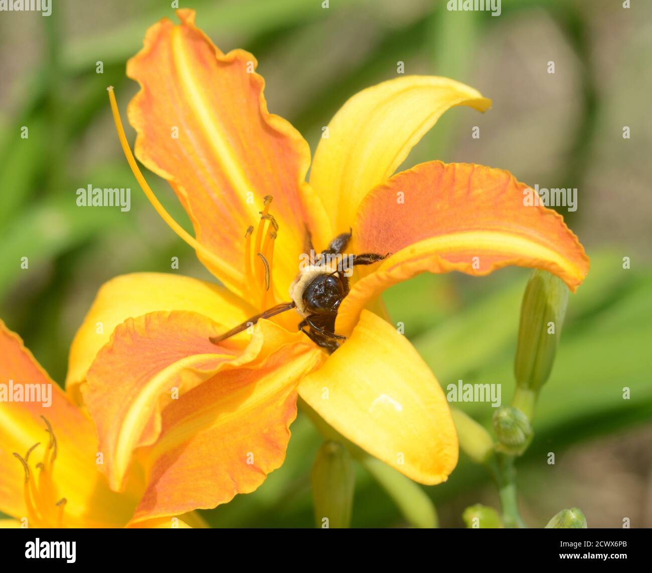 Get the job done hi-res stock photography and images - Alamy