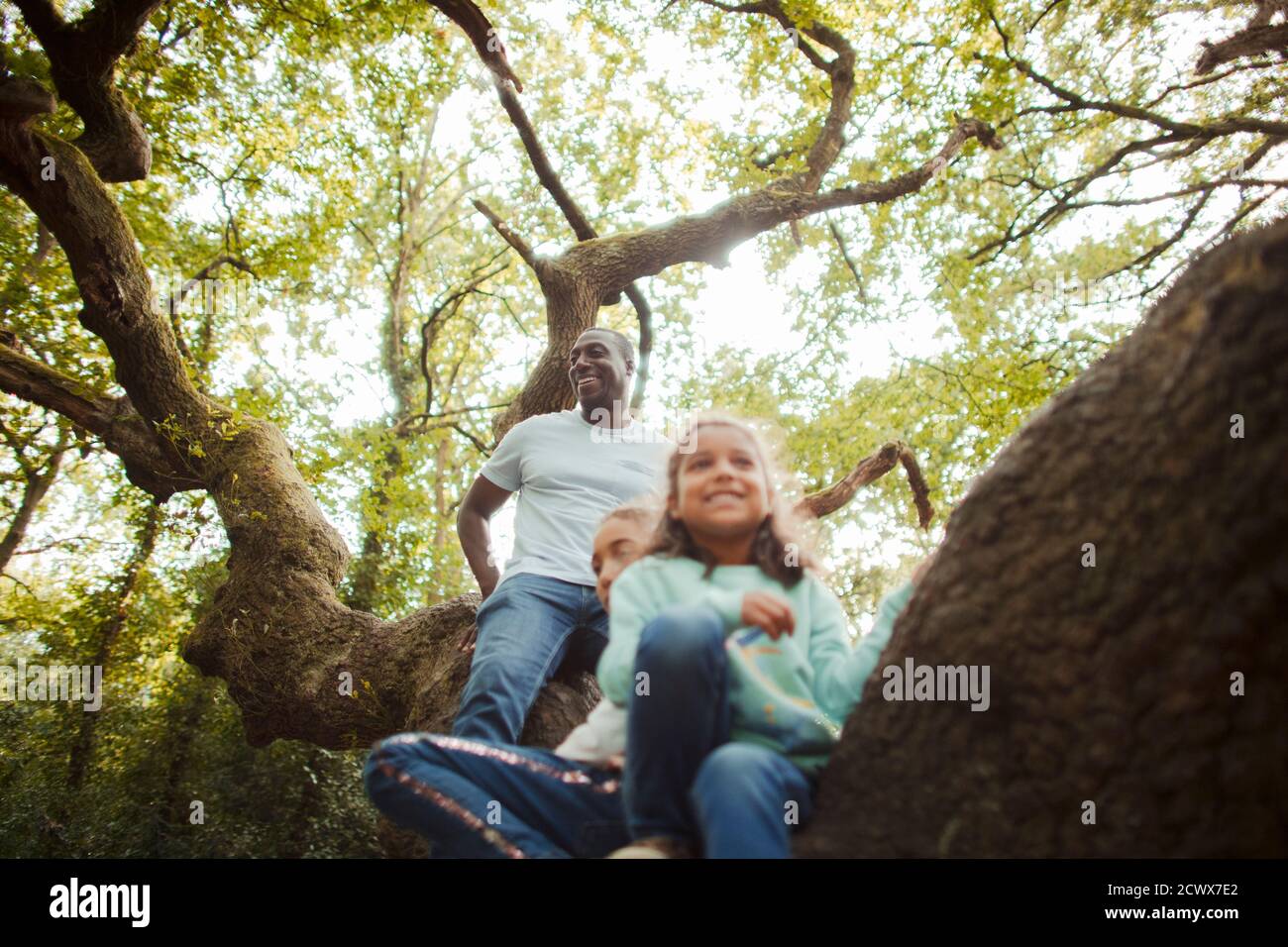 Happy father and daughters climbing tree Stock Photo - Alamy