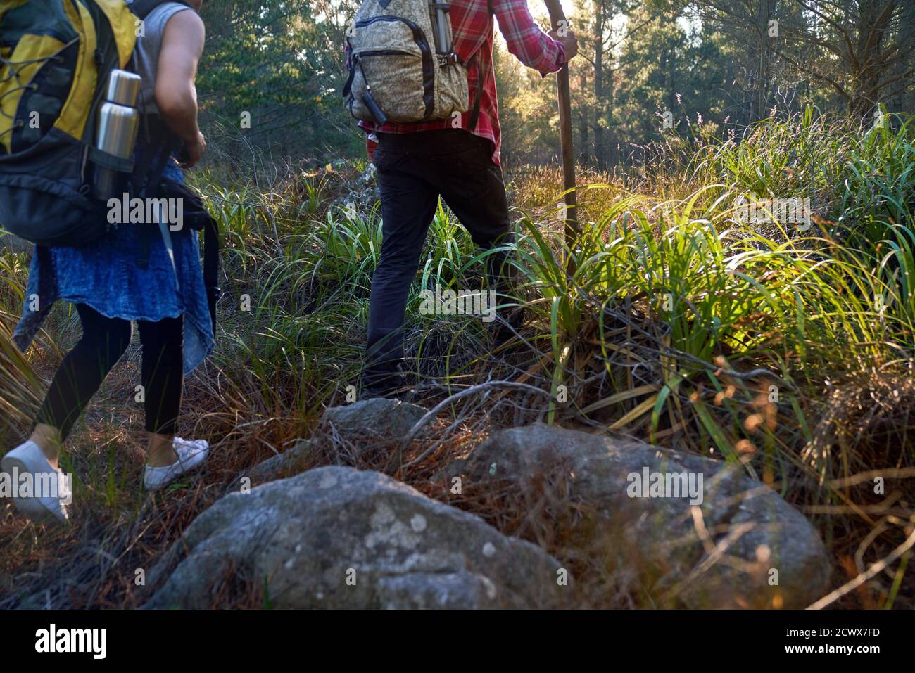 Very tall couple woman hi-res stock photography and images - Alamy