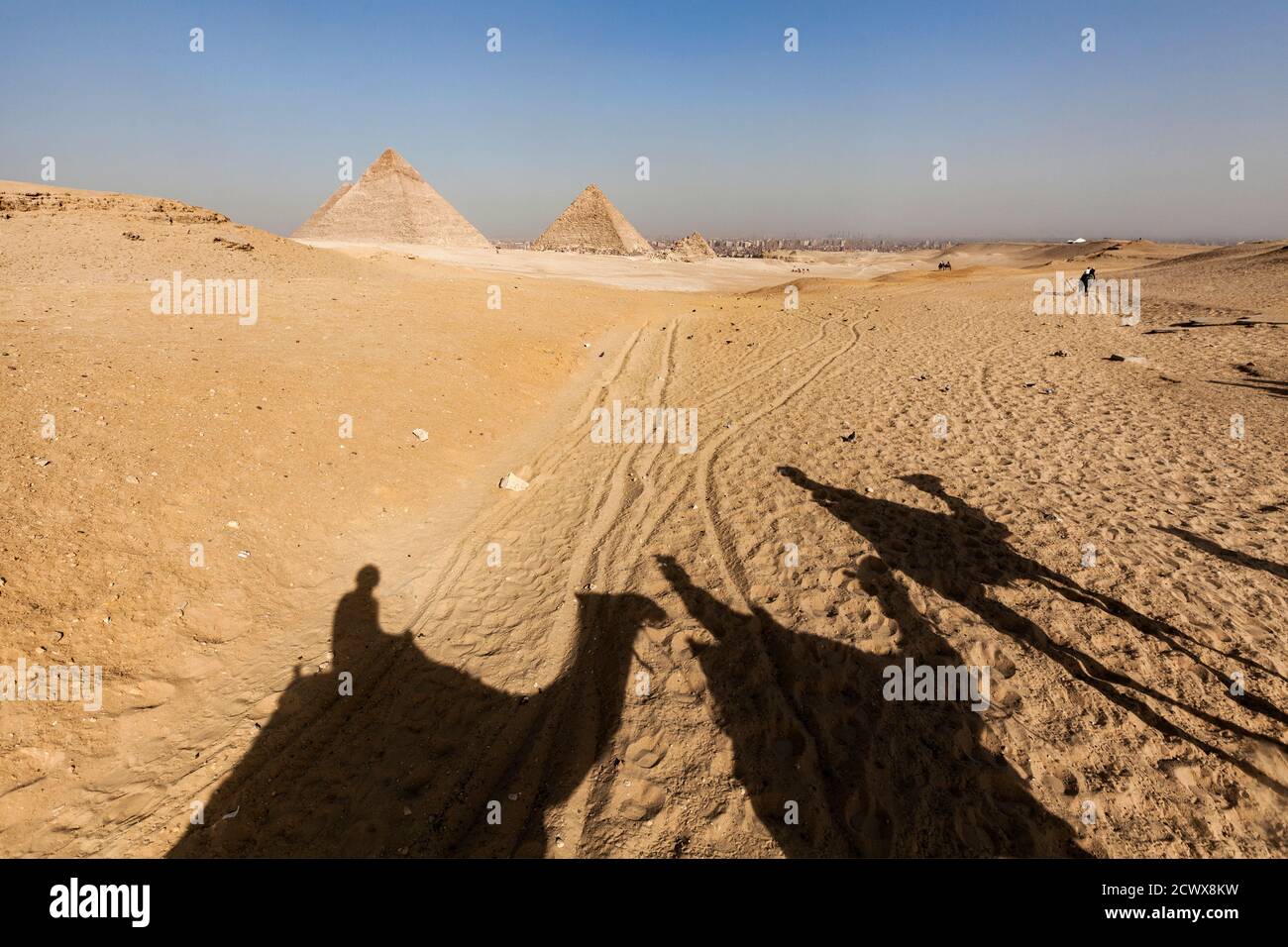 Shadows on the sand cast by camels during a ride near the pyramids of ...