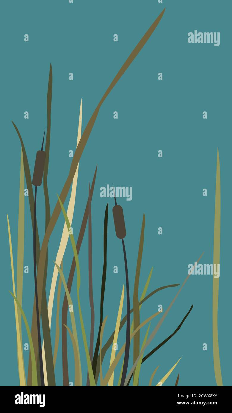 Bush of Swamp Reed on a Lake. vector Illustration Stock Vector Image ...