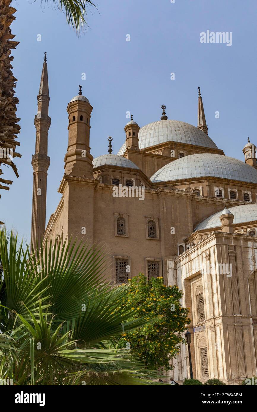 Domes and minarets of the Great Mosque of Muhammad Ali Pasha, the ...