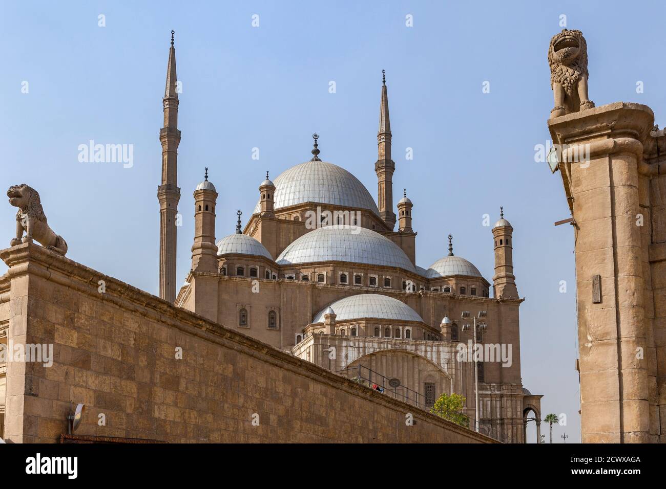 Domes and minarets of the Great Mosque of Muhammad Ali Pasha, the ...