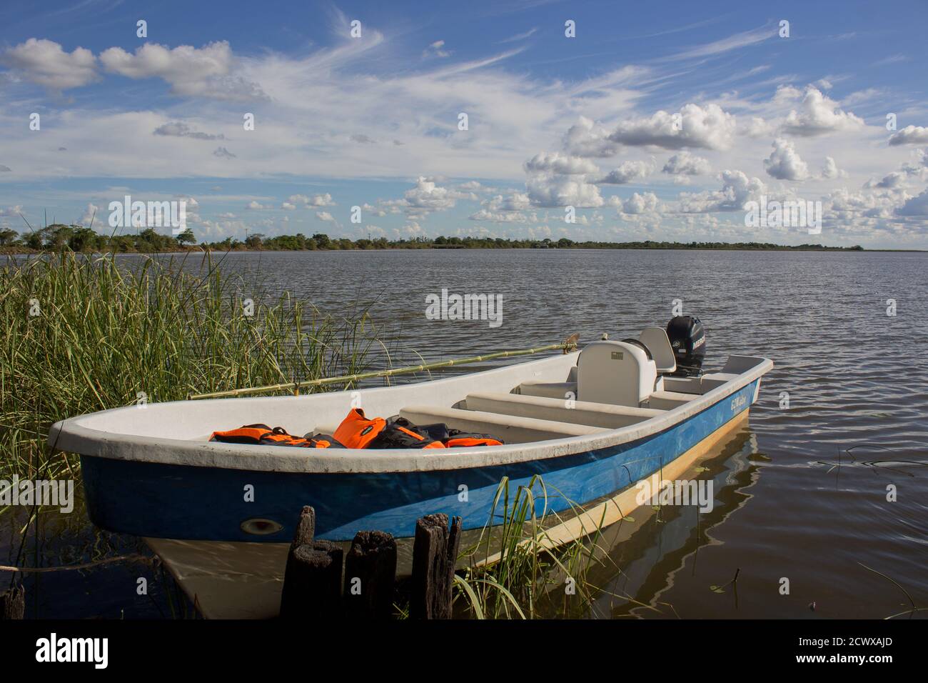 Parque ibera hi-res stock photography and images - Alamy
