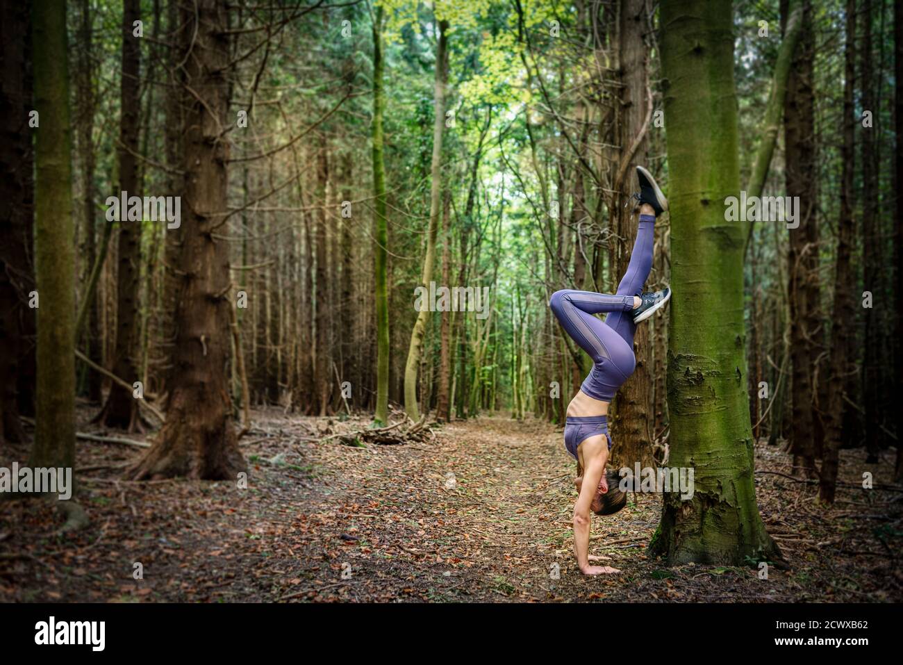 woman doing a handstand against a tree in a forest. Yoga pose. Fitness ...