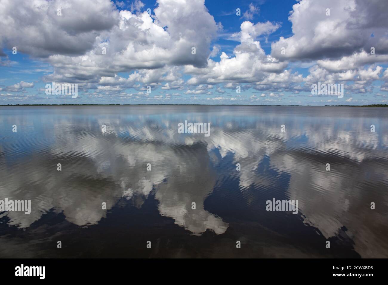 Iberá national park hi-res stock photography and images - Alamy