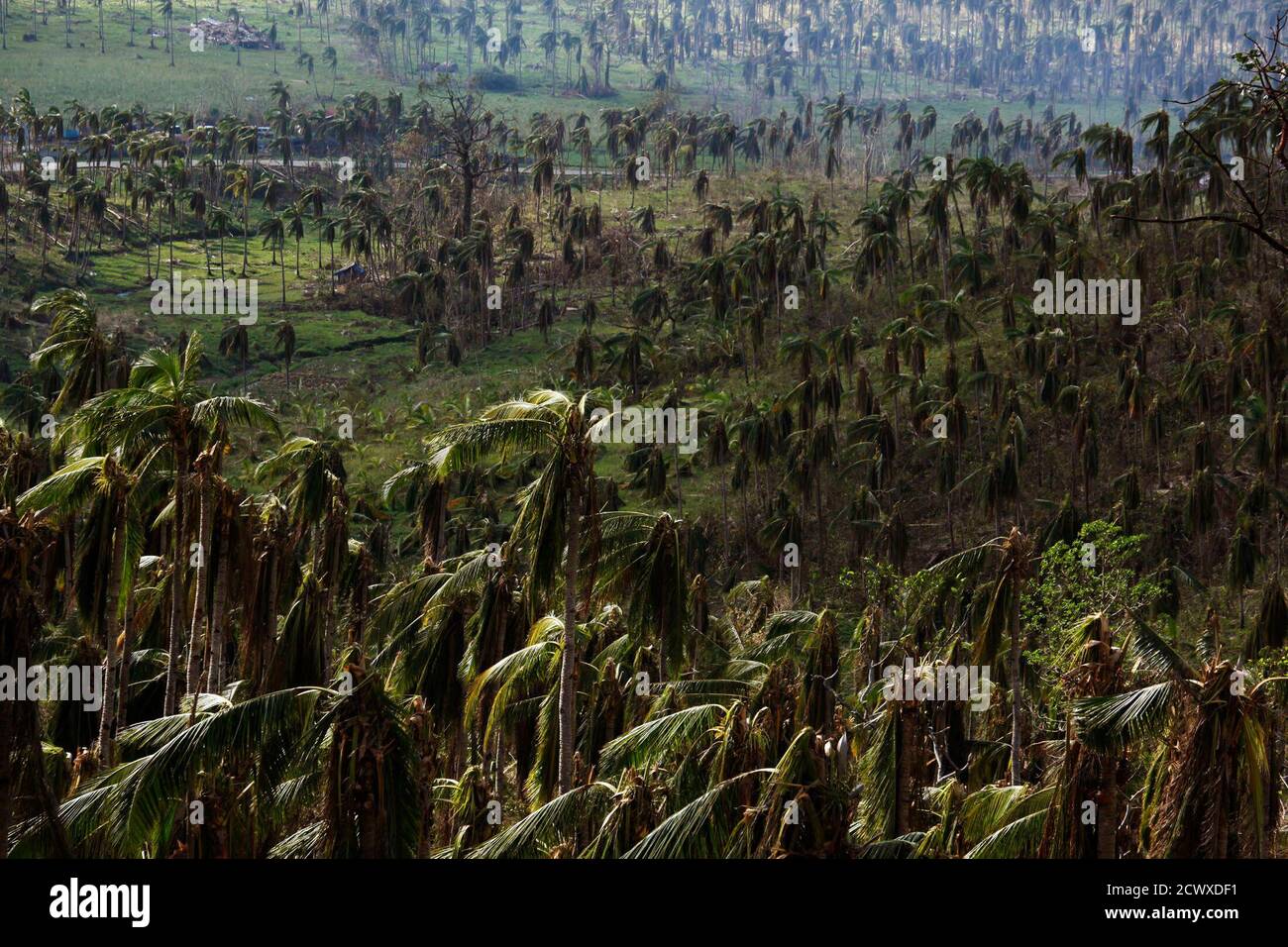 Flattened corn hi-res stock photography and images - Alamy