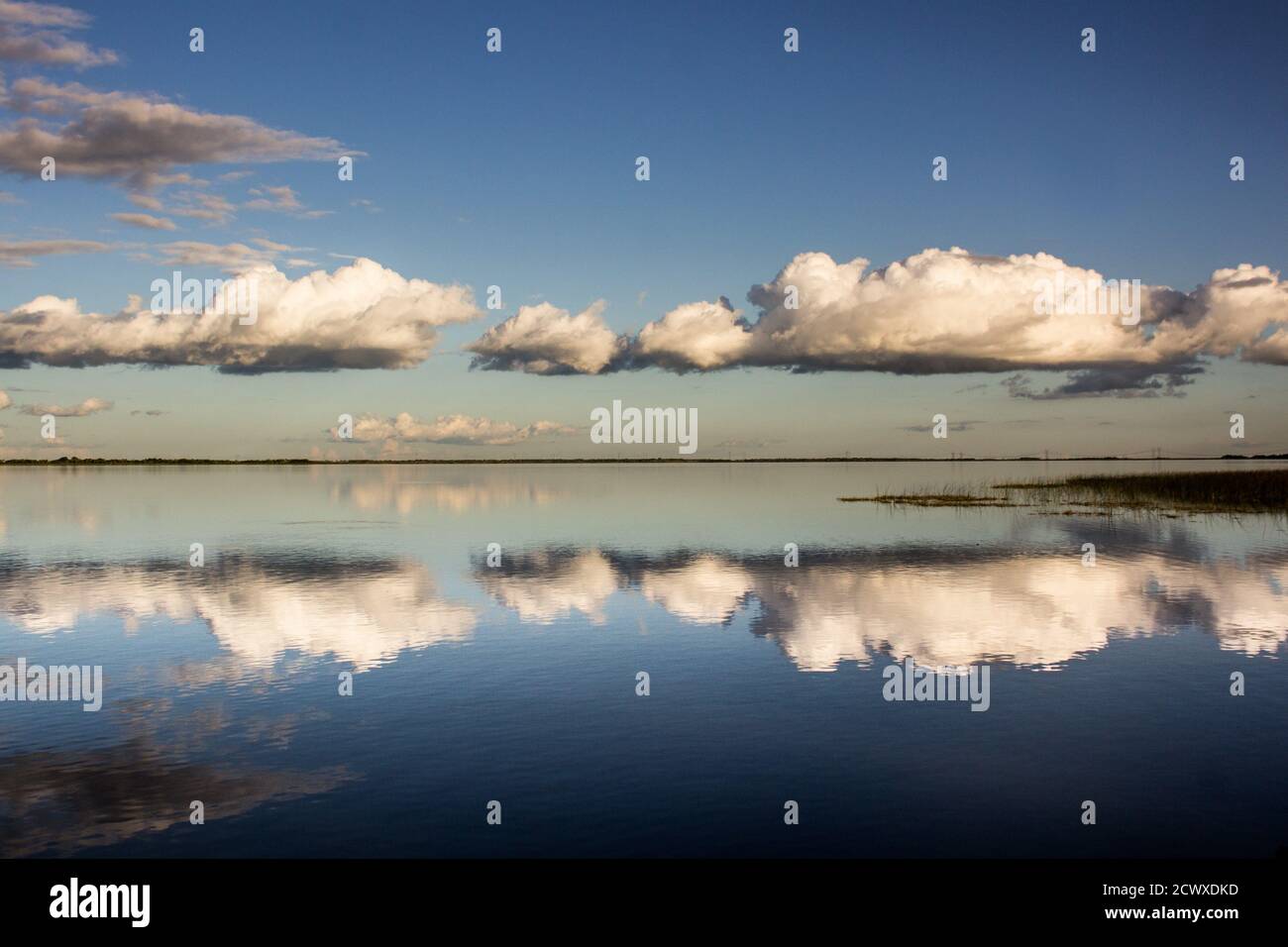 Parque ibera hi-res stock photography and images - Alamy