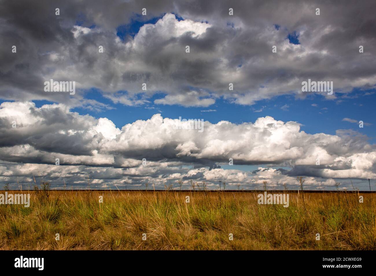 Parque ibera hi-res stock photography and images - Alamy
