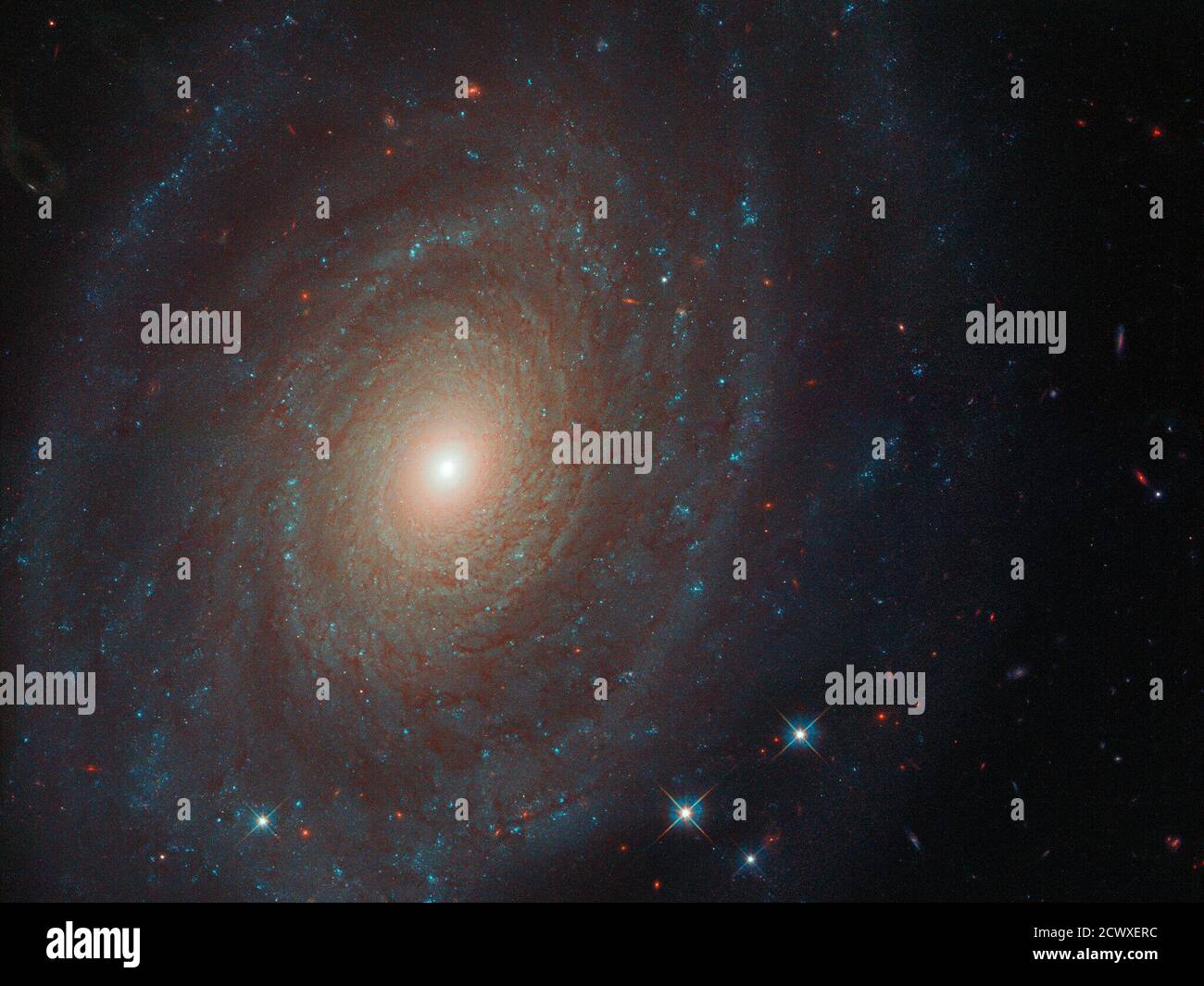 The NASA/ESA Hubble Space Telescope captured a detailed image of the ...