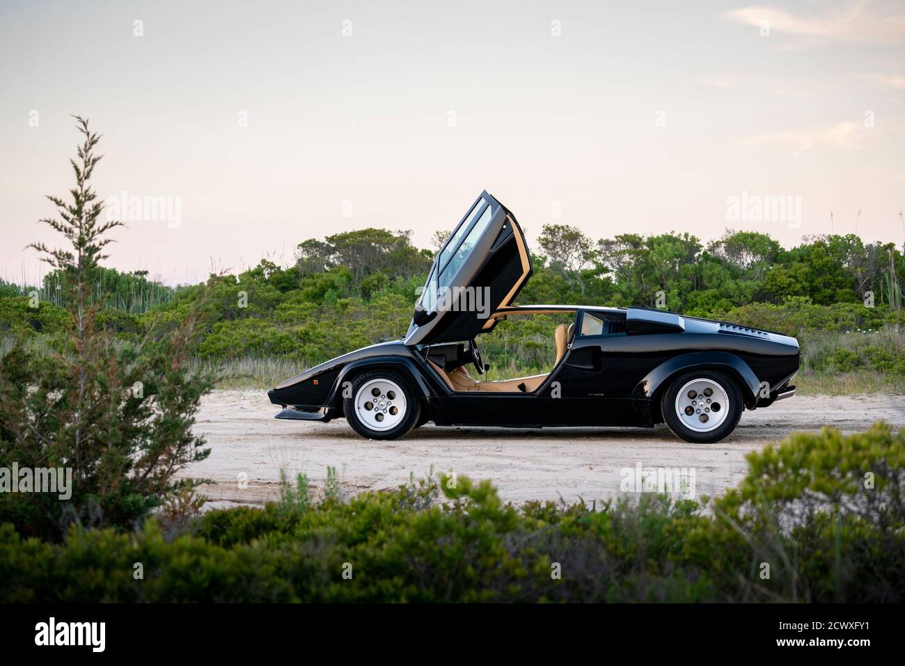 Side profile of a 1985 Lamborghini Countach 5000QV Stock Photo - Alamy