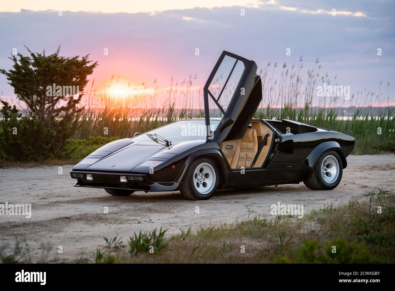 Front 3/4 view of a 1985 Lamborghini Countach 5000QV Stock Photo - Alamy