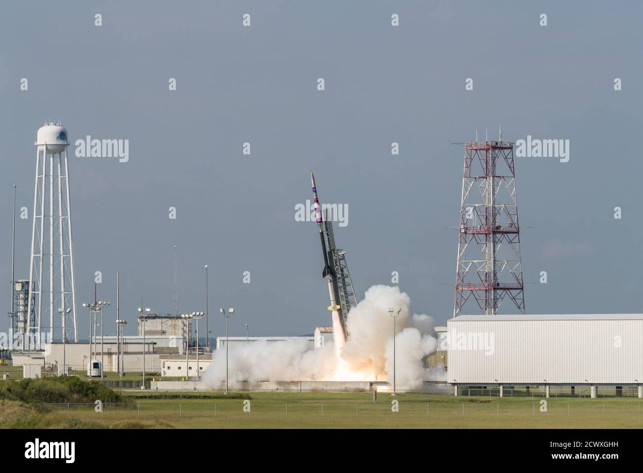 Black brant ix hi-res stock photography and images - Alamy