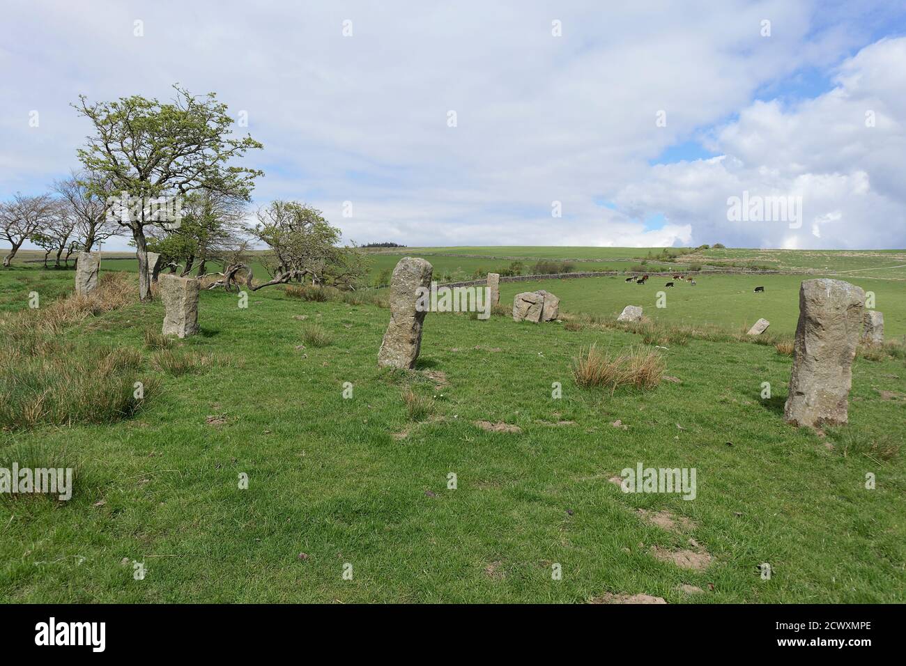 Modern Stone Circle Stock Photo - Alamy