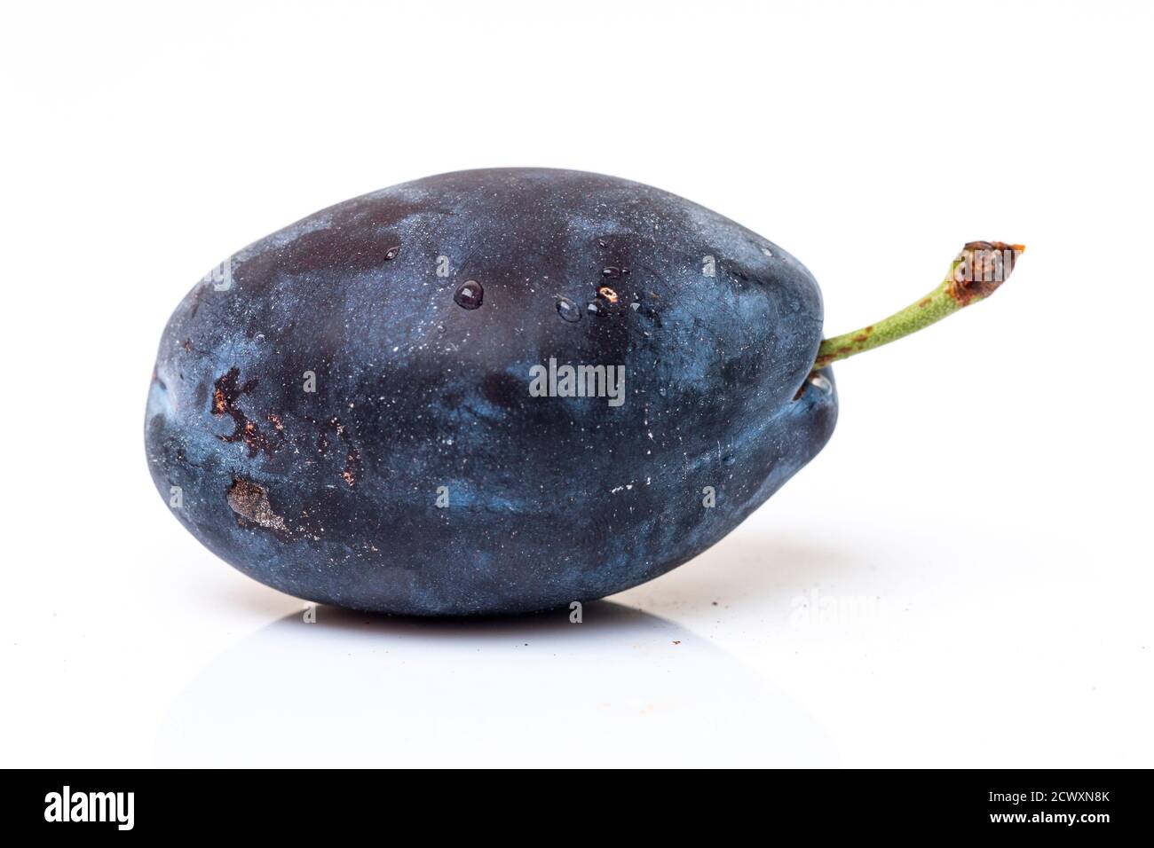 European plum prunus domestica plums hi-res stock photography and ...