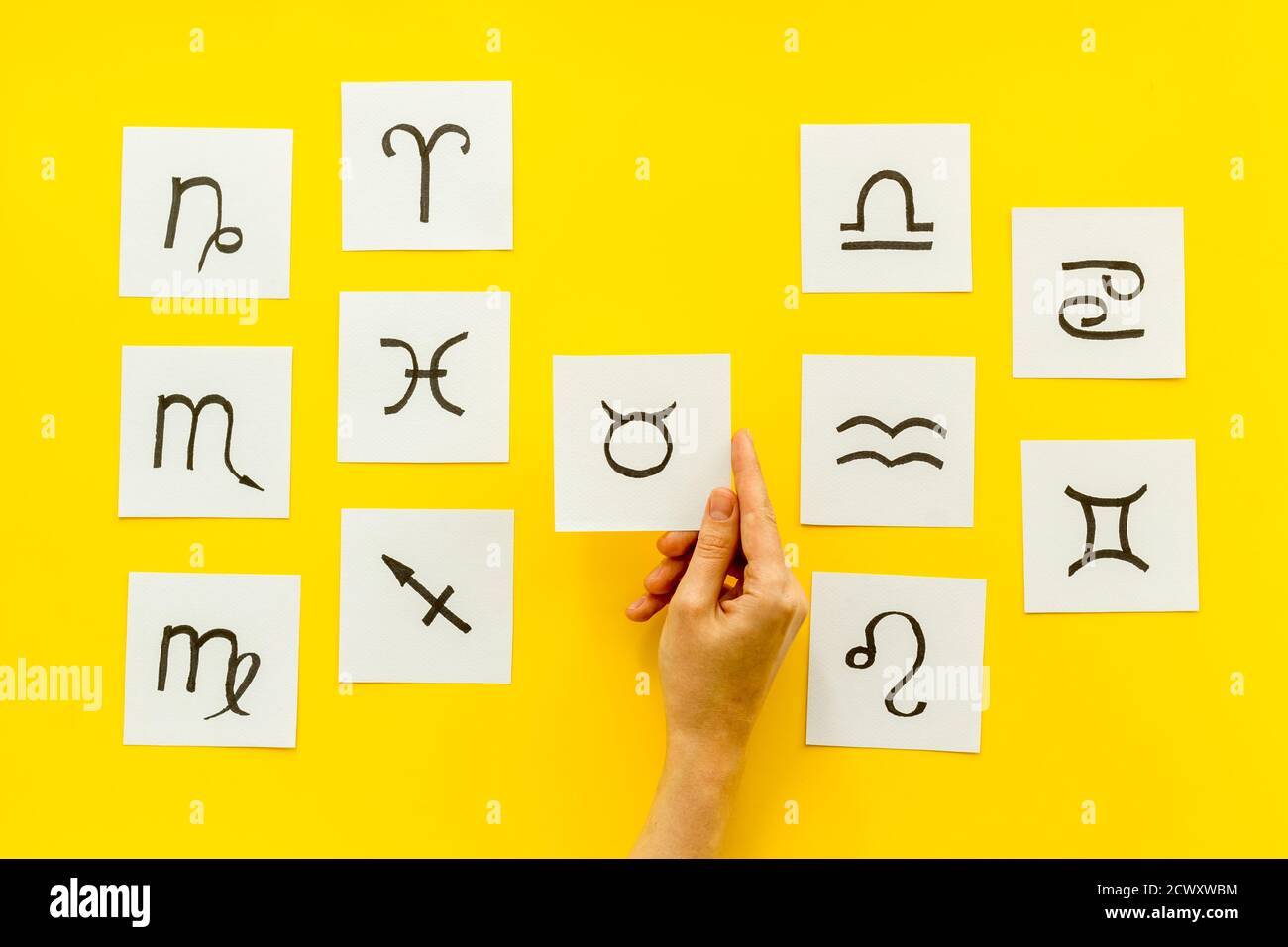 Astrology concept. Twelve zodiac signs in horoscopic wheel, top view ...