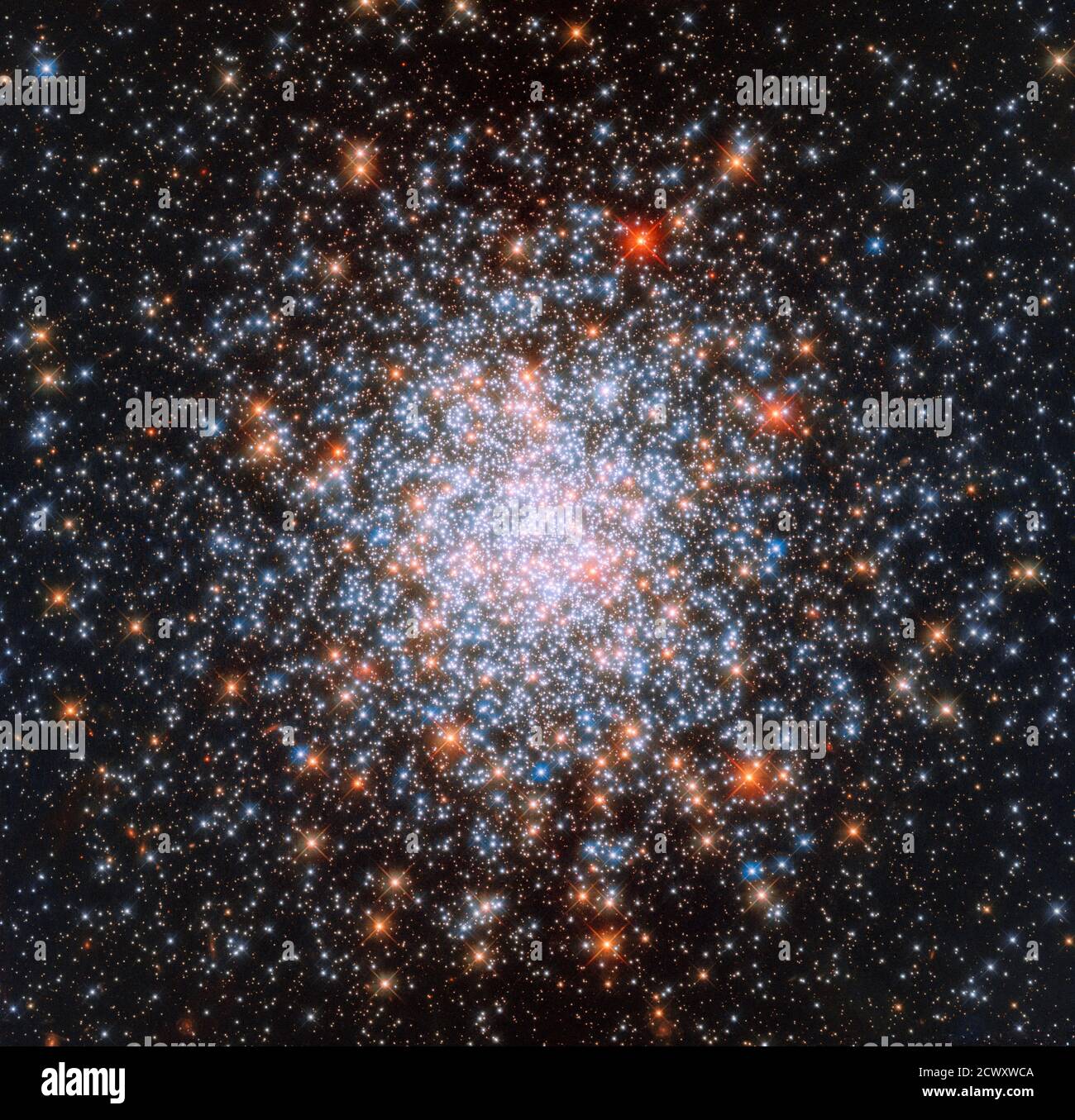 NASA's Hubble Space Telescope captured an image of NGC 1866, a star ...